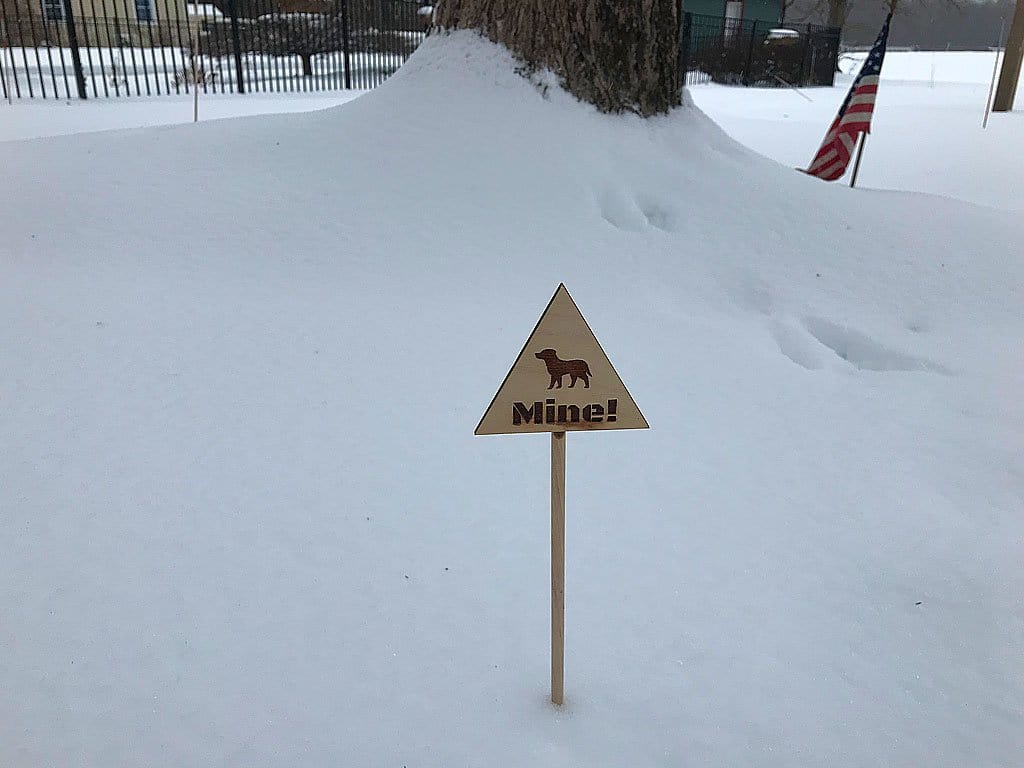 Dog Waste Marker | Best Flags To Mark Dog Poop | The Poo Flag ...